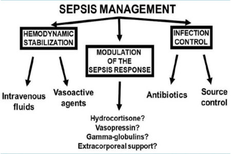 Sepsis | Top Neuro Docs